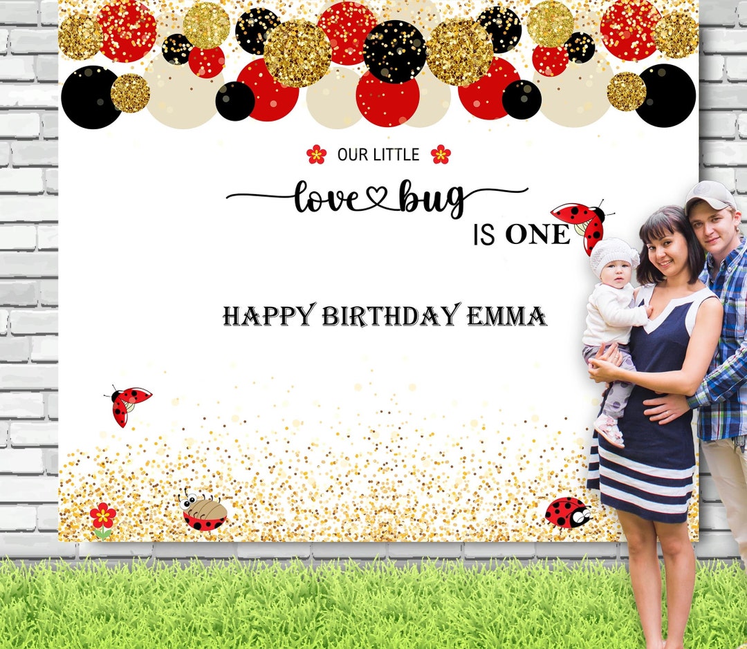 Birthday Party Decor Lovebug First Birthday Backdrop Ladybug Theme ...