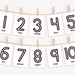 Number Flashcards 0-20, Numbers Flashcards, Learn to Count, Numbers 0 ...