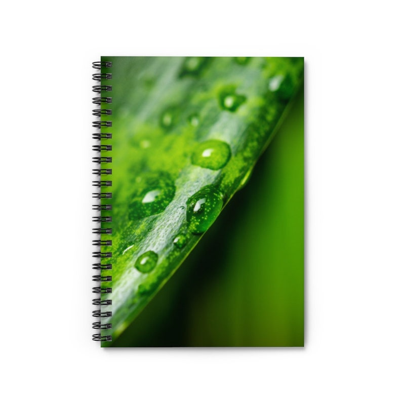 MitchellRobbinsPhoto - Etsy