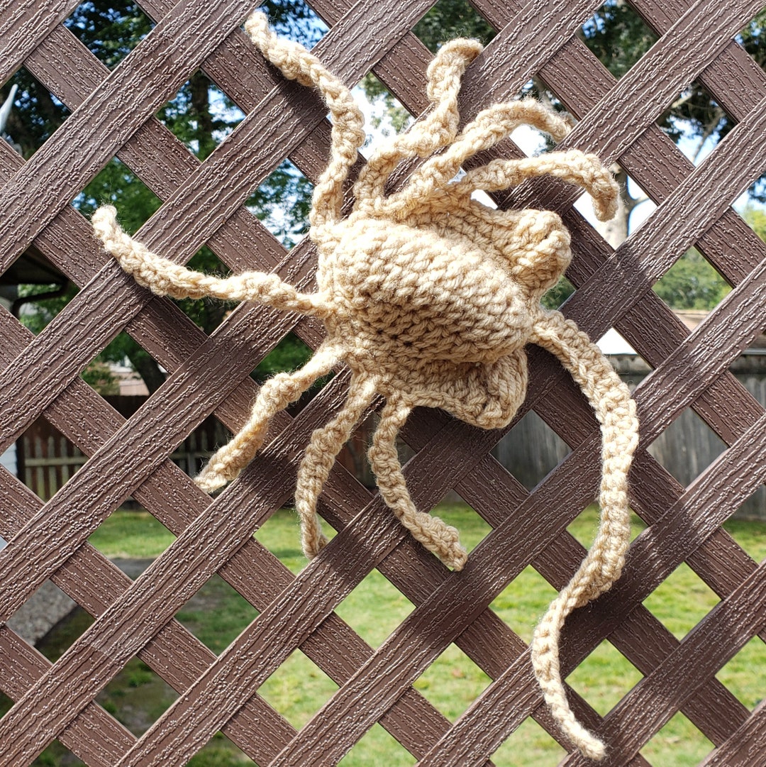 Crochet Facehugger With Clip Backing - Etsy
