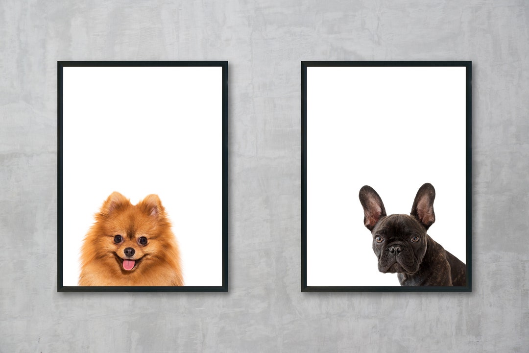 Custom Pet Portrait Framed Dog Portrait Digital Dog Art Pet Commission ...