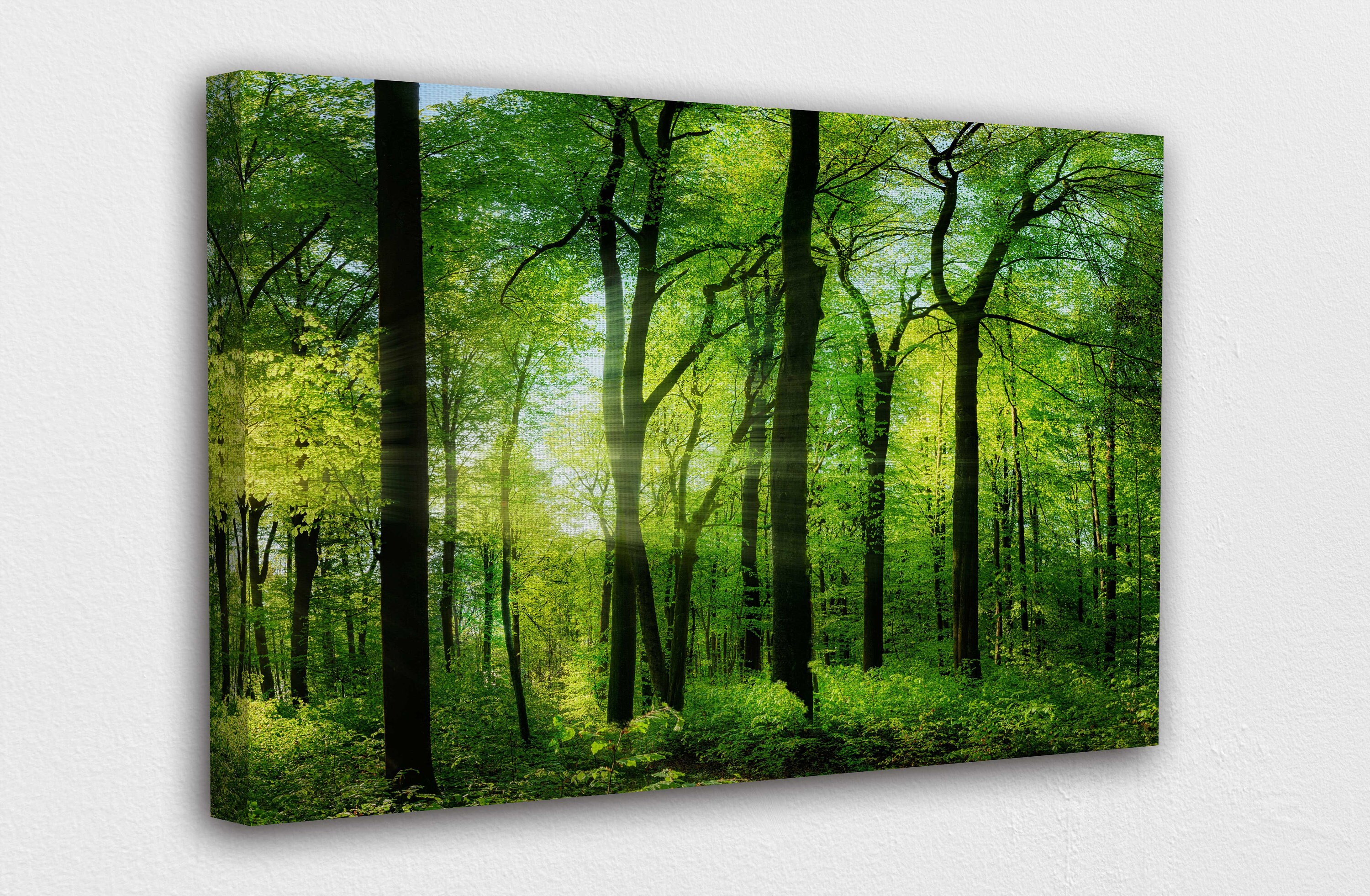 Sun Rays in a Green Nature Trees Canvas Wall Art Design - Etsy