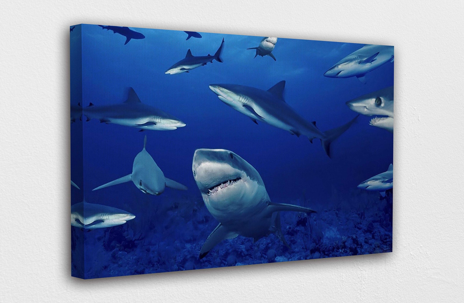 Enormous Shark in Deep Blue Water Canvas Wall Art Design - Etsy