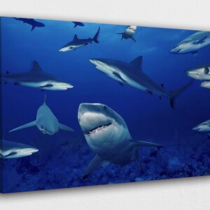 Enormous Shark in Deep Blue Water Canvas Wall Art Design |poster Print ...