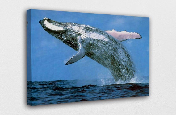 Whale in an Ocean Canvas Wall Art Design Poster Print Decor - Etsy