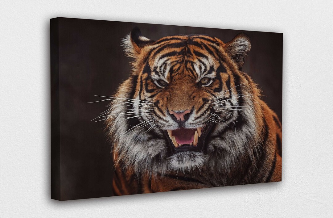 Tiger Wild Cat Evil Canvas Wall Art Design Poster Print Decor for Home ...