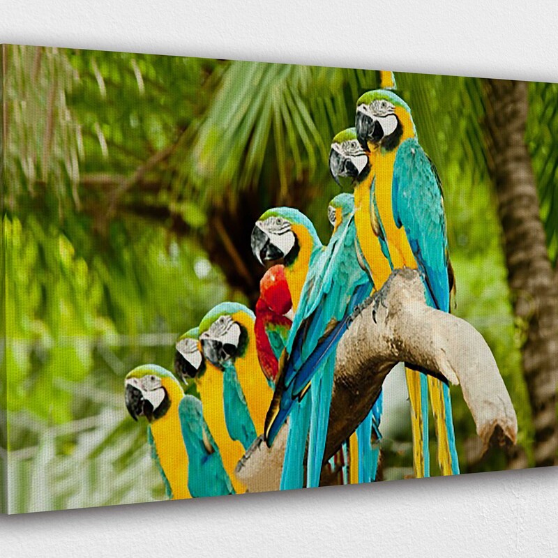 Macaw Poster - Etsy