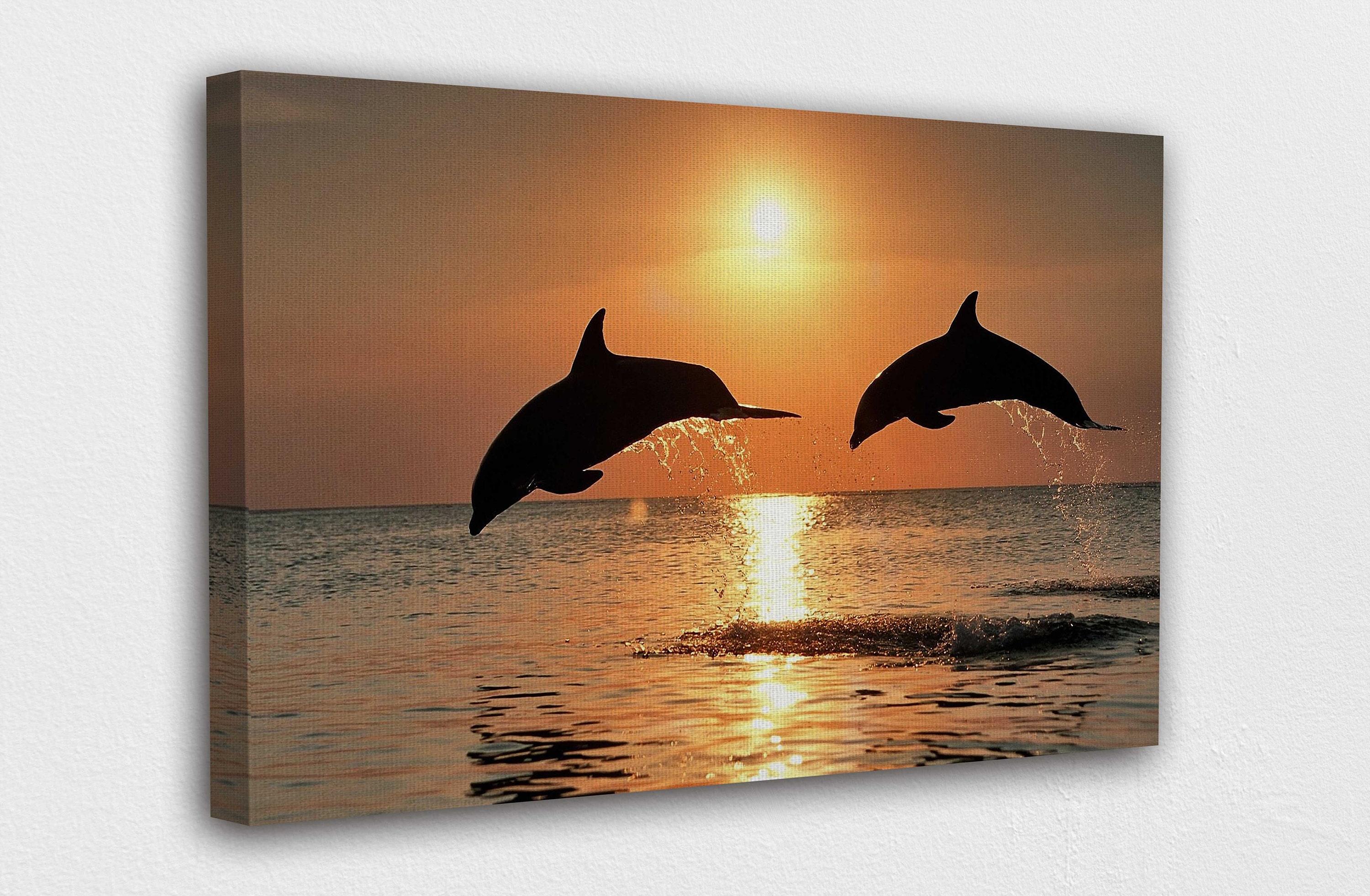 Dolphin Jumping In Sunset Painting