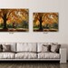 Nature Trees W Fall Leaves in Autumn Canvas Wall Art - Etsy