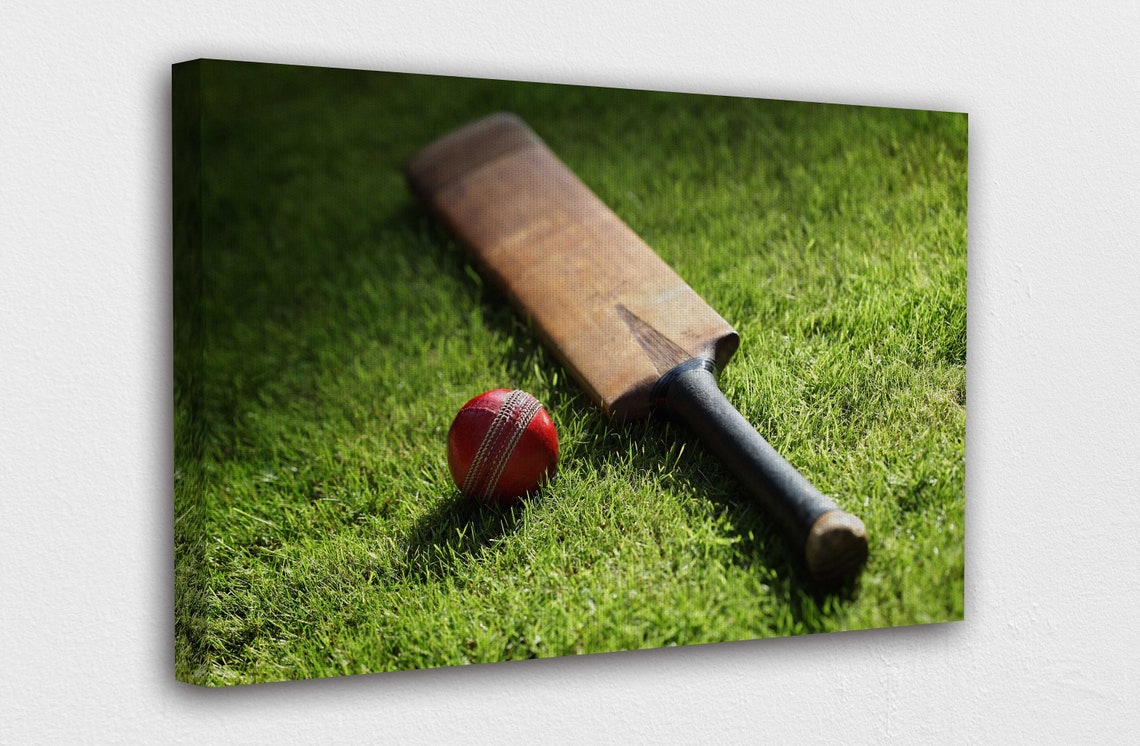 Bat and Ball Cricket Canvas Wall Art Design Poster Print - Etsy