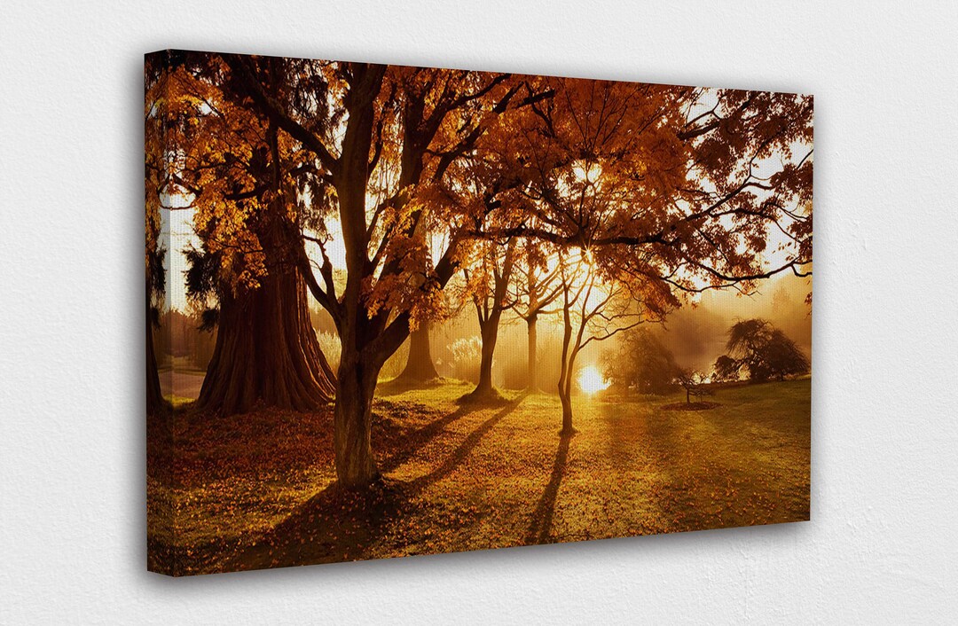 Autumn Trees in a Sunset Canvas Wall Art Design Poster Print - Etsy