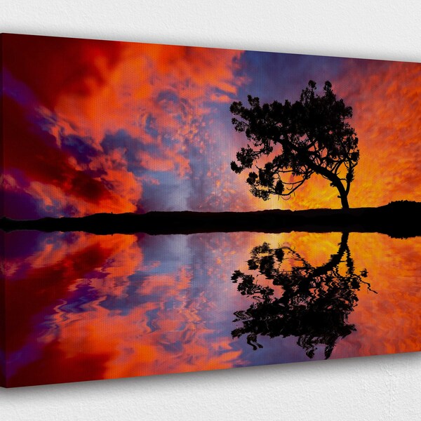 Tree Reflection - Etsy