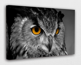 Owl Canvas Wall Art - Etsy