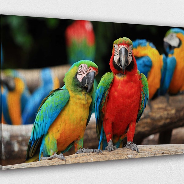 Macaw Poster - Etsy
