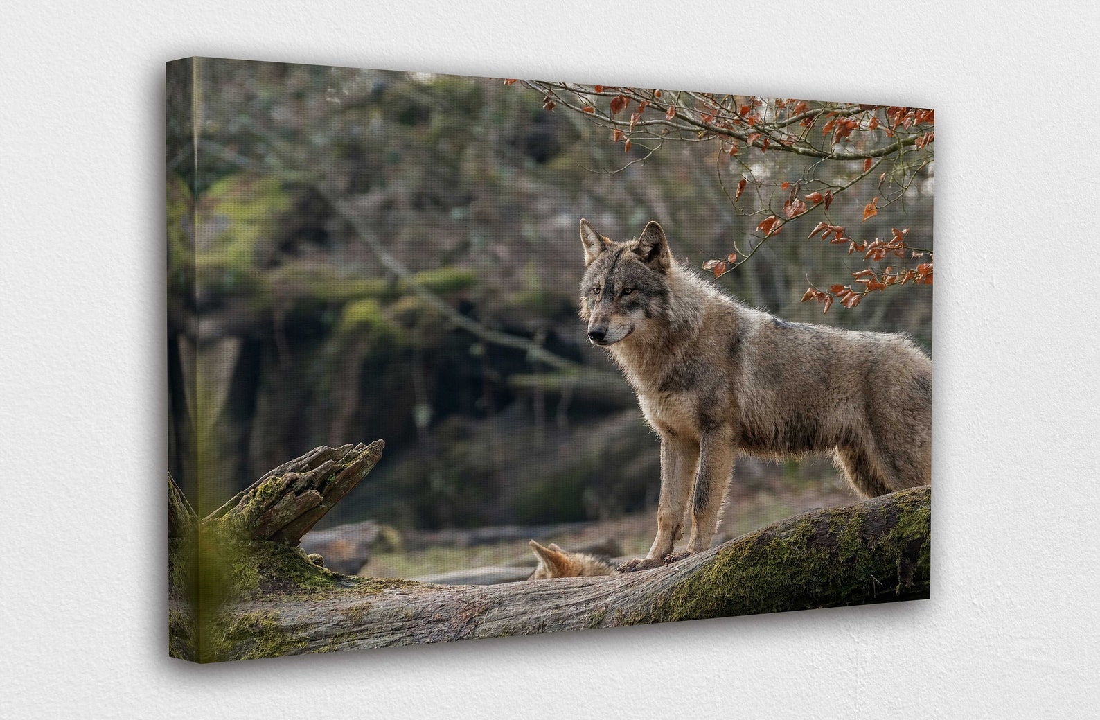 Cherry Blossom Spring Wolf Canvas Wall Art Design Poster - Etsy