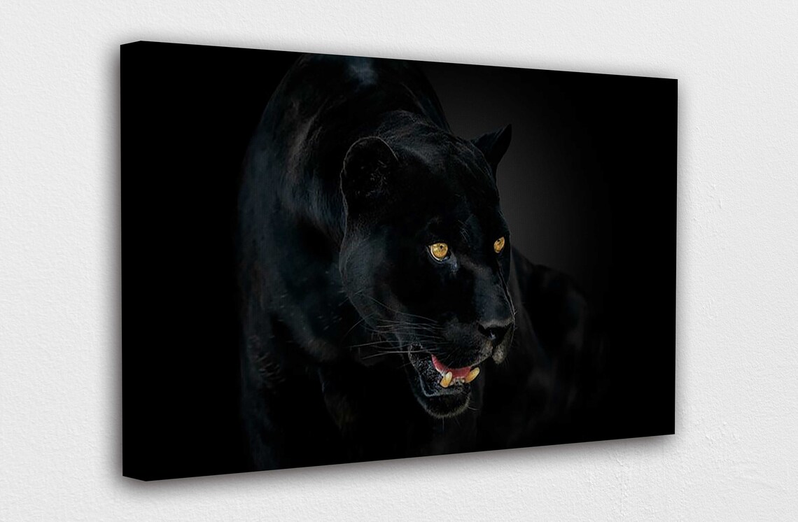 Black Jaguar Wild Cat Wall Art Design Poster Print Decor for - Etsy
