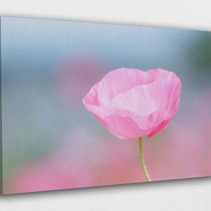 Flower Pink Poppy Canvas Wall Art Design Poster Print Decor - Etsy