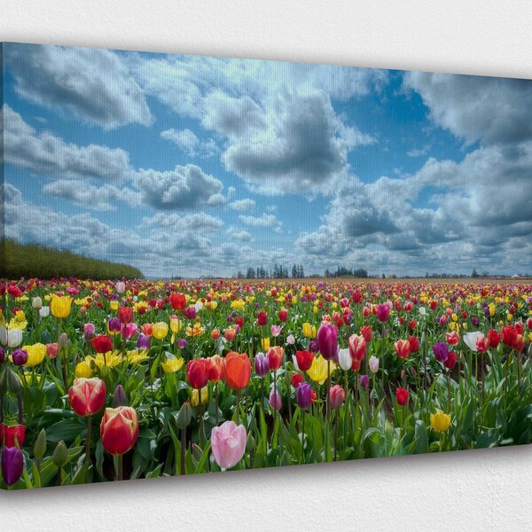 Tulip Wall Art - Etsy