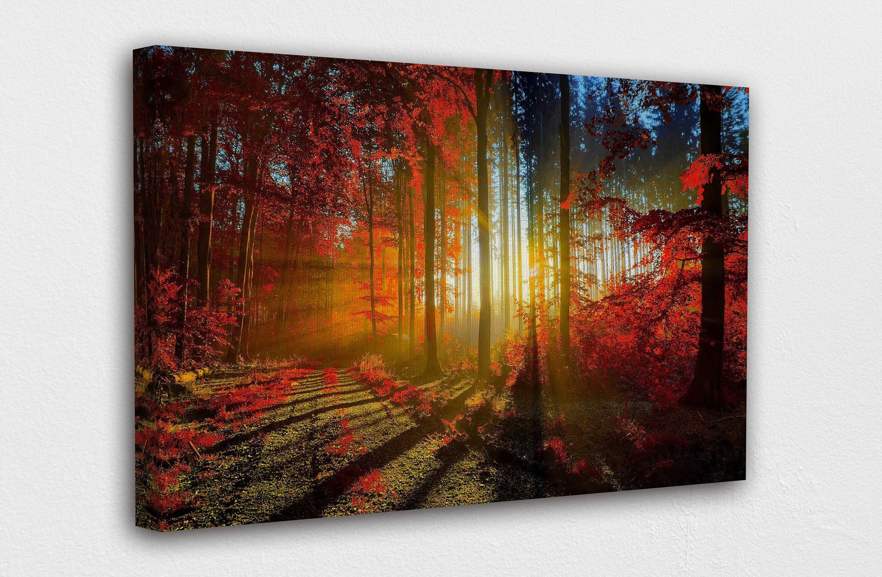 Autumn Long Trees in a Sun Rays Canvas Wall Art Design - Etsy