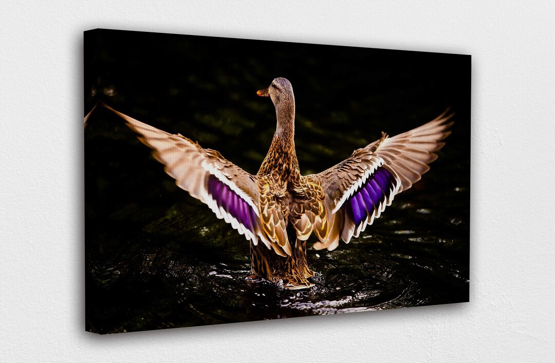 Wood Duck Hunting Canvas Wall Art Design |poster Print Decor for Home ...