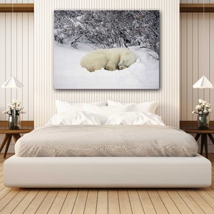 Polar Bear Sleeping in Winter Snow Canvas Design | Poster Print Decor ...
