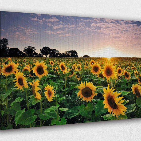 Sunflower Poster - Etsy