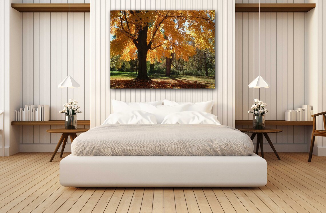 Nature Trees W Fall Leaves in Autumn Canvas Wall Art | Etsy