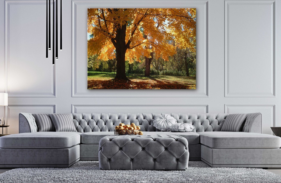 Nature Trees W Fall Leaves in Autumn Canvas Wall Art | Etsy