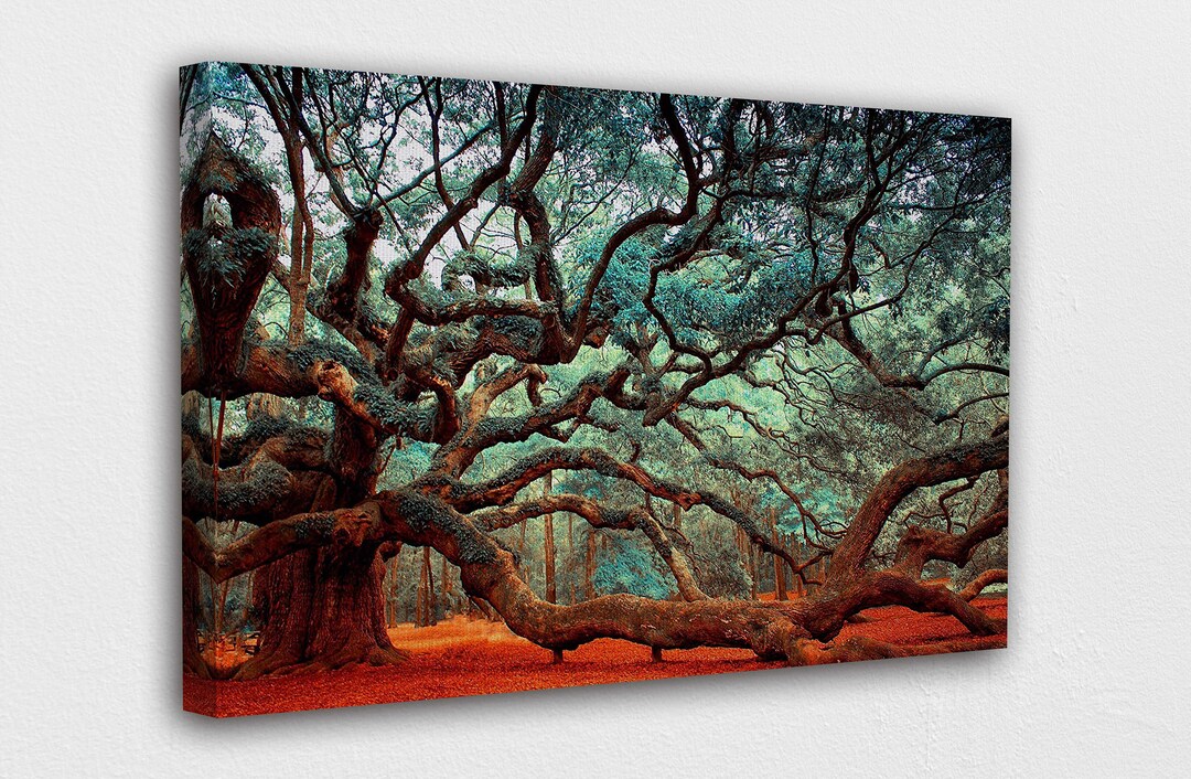 Giant Tree Canopy Canvas Wall Art Design | Poster Print Decor for Home ...