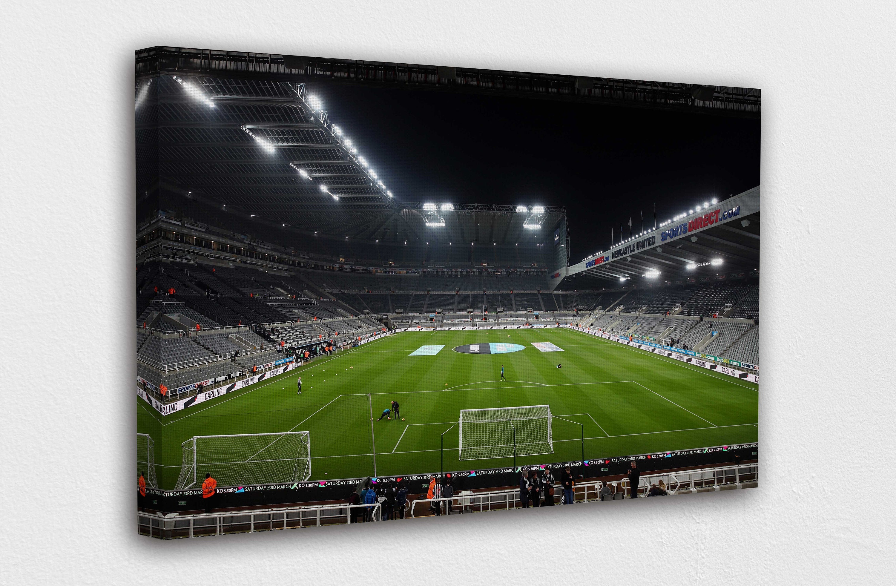 St James's Park Stadium Canvas Wall Art Design Poster - Etsy