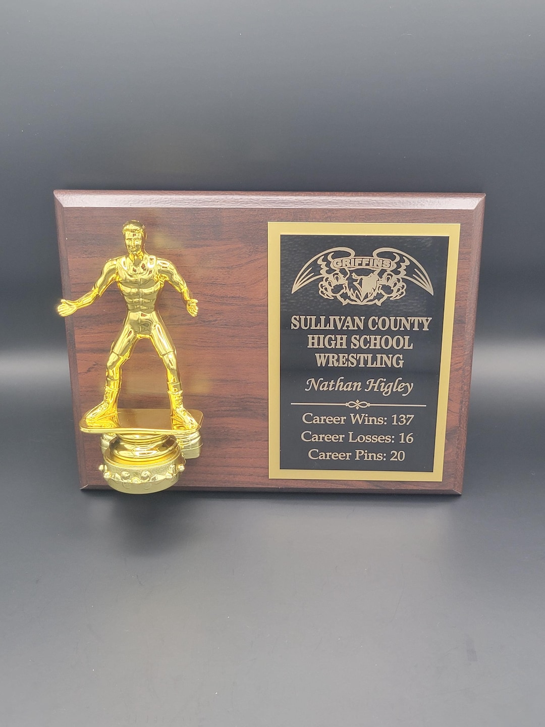 Wrestling Stats Plaque, Wrestling Award Plaque, High School Wrestling ...