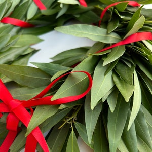FRESH Bay Leaf Laurel Crown—greek&roman Head Wreath | Graduation ...