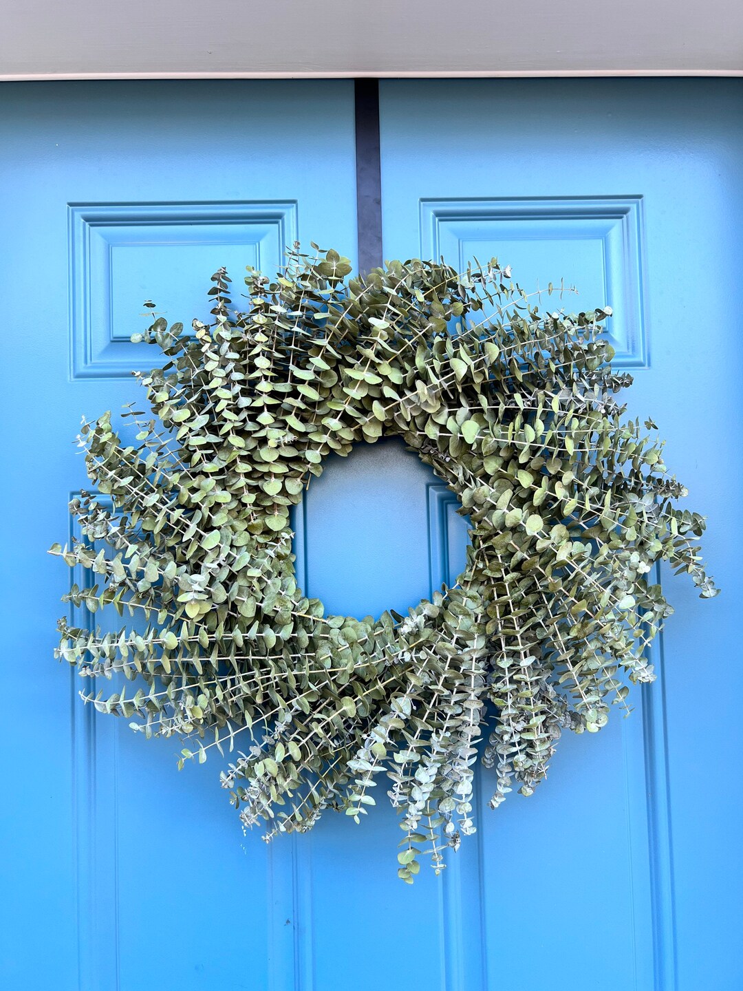 Dried Preserved Natural Baby Blue Eucalyptus Wreath for Front Door ...