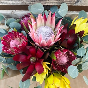 Protea - Etsy