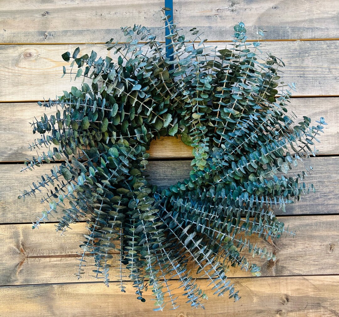 Green Natural Look Wreath for Front Door Decor, Preserved, Baby Blue ...