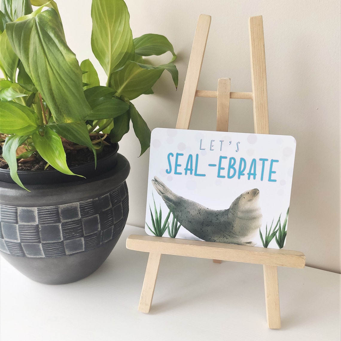 Seal Birthday Card, Celebration Card, Cute Seal Greeting Card, Card ...