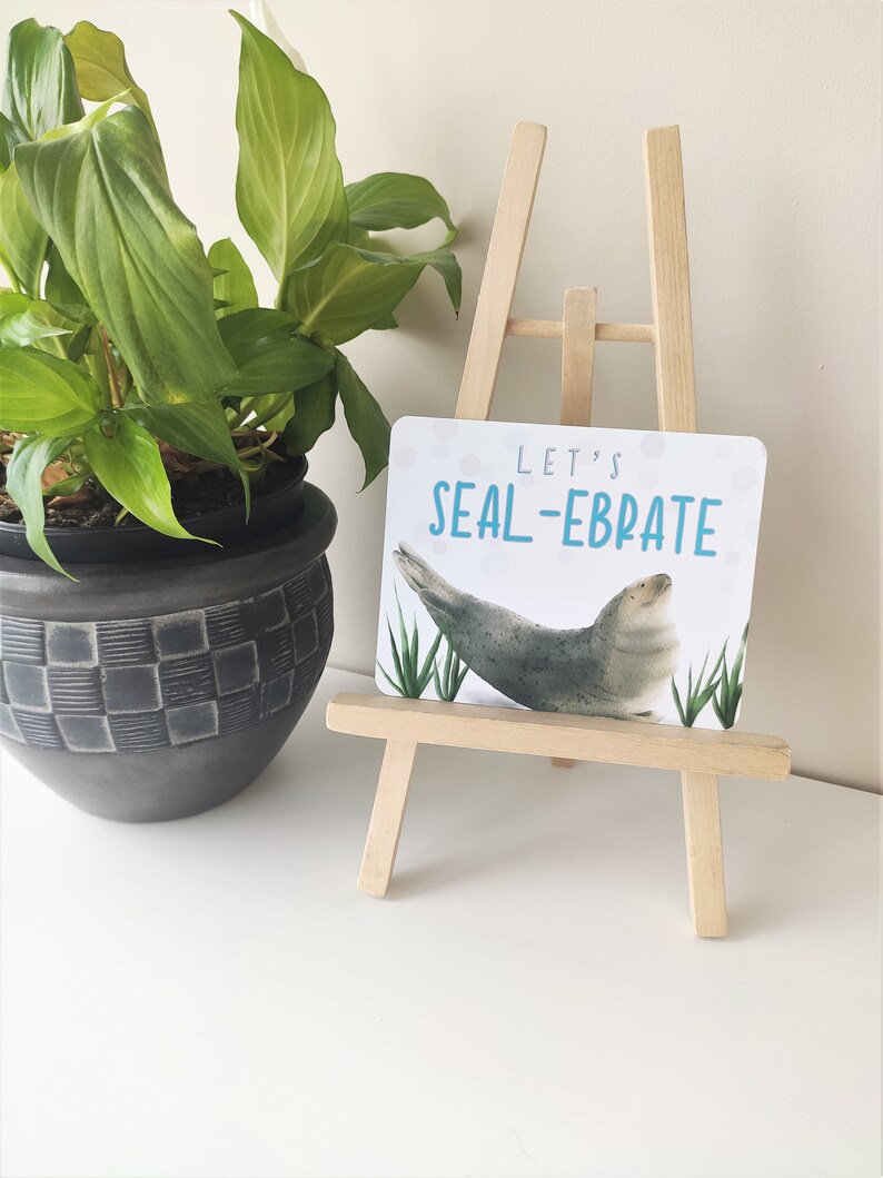 Seal Birthday Card Celebration Card Cute Seal Greeting Card | Etsy