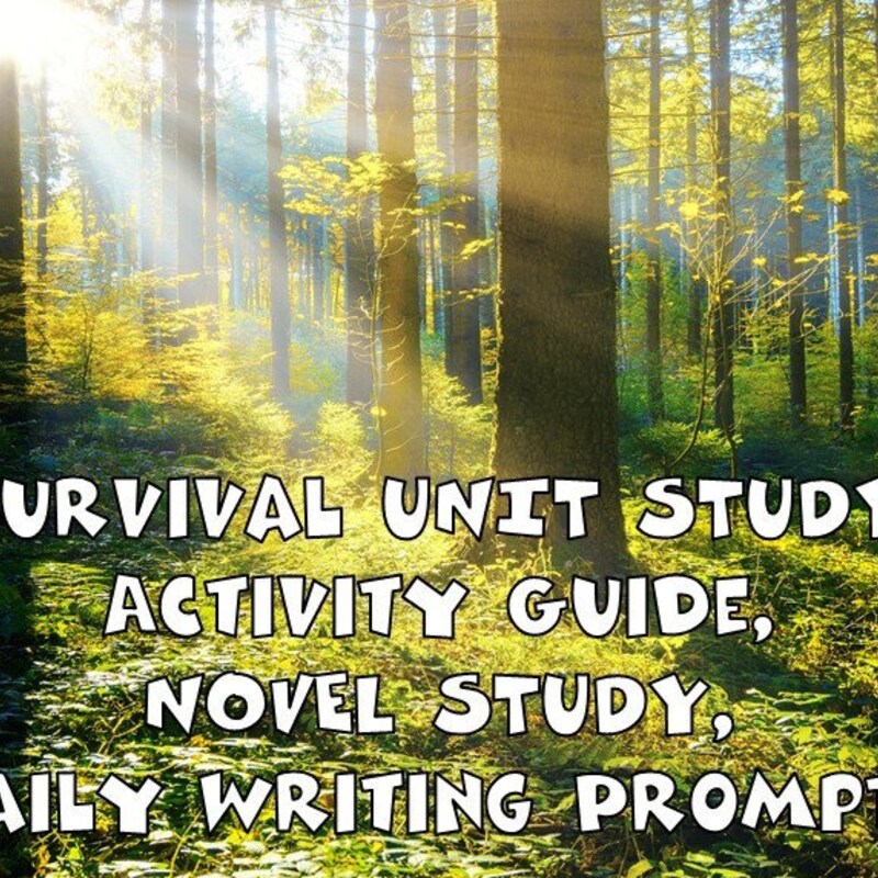 Fulloutdesigns - Etsy