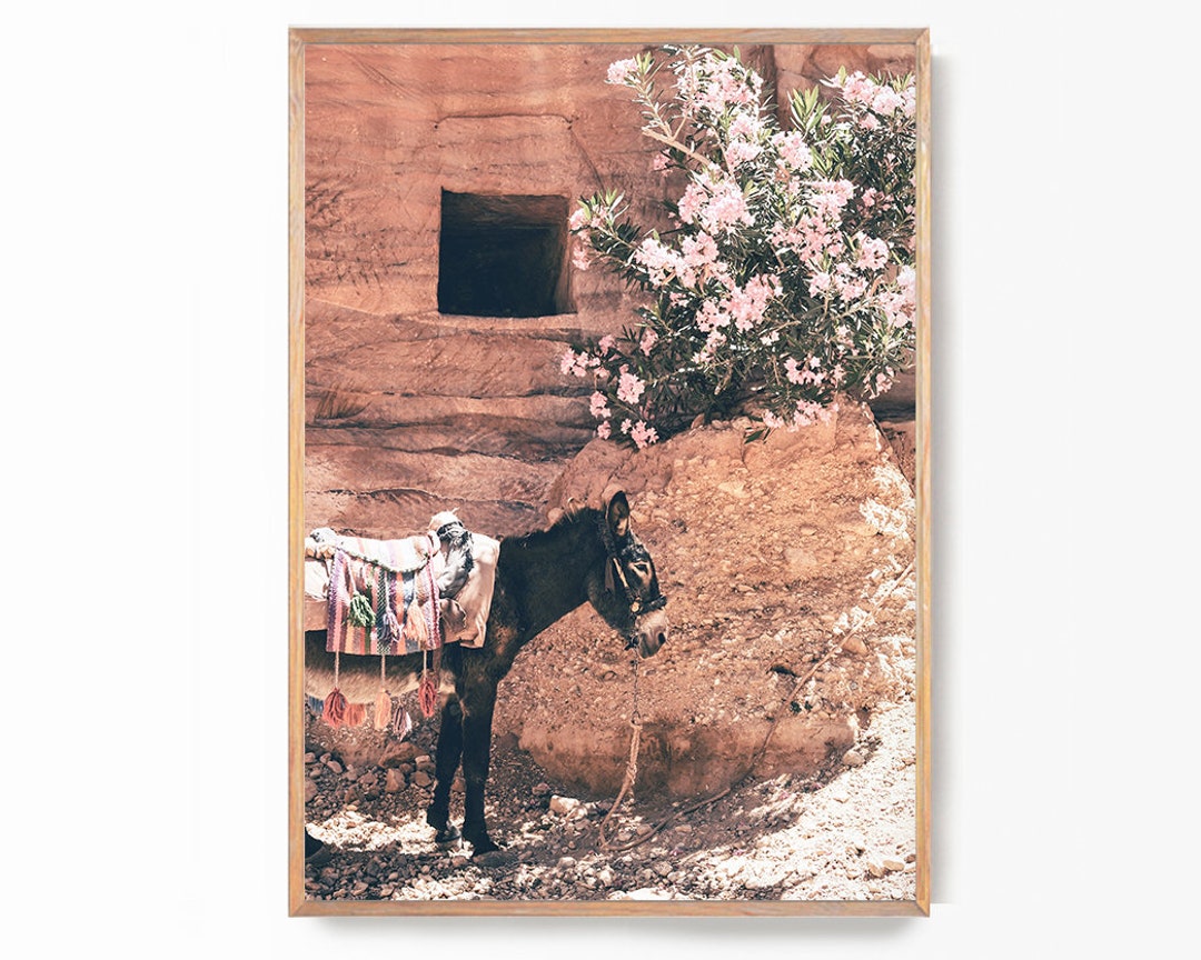 Giclee Donkey Print Modern Boho Decor Baby Donkey Poster Living Room ...