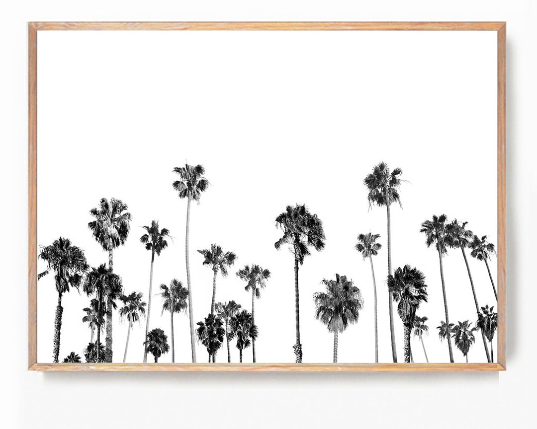 Palm Tree Wall Art, Tropical Black White, California Palms, Beach Art ...