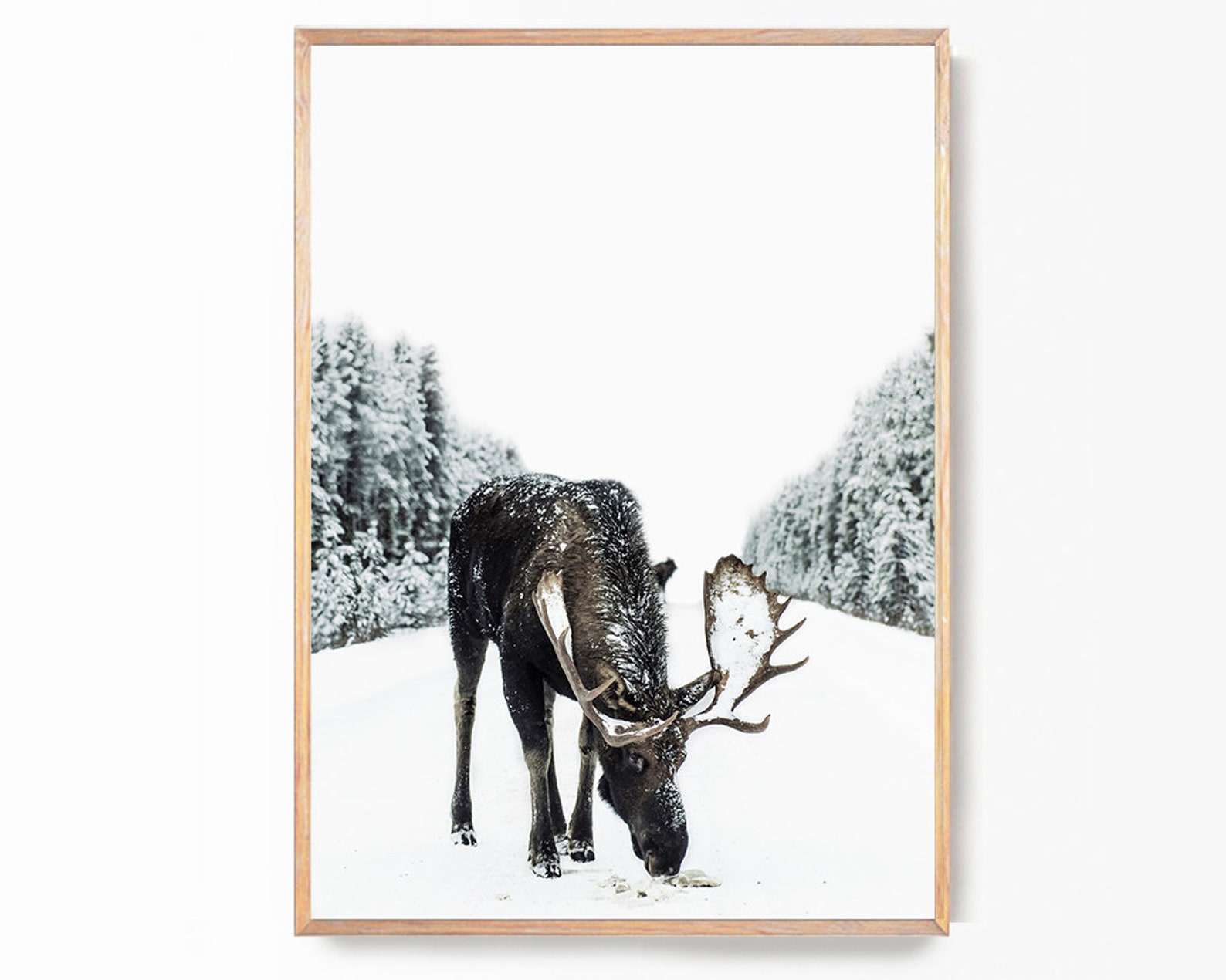 Holiday Decor Winter Set of 6 Snowy Snow Covered Forest - Etsy