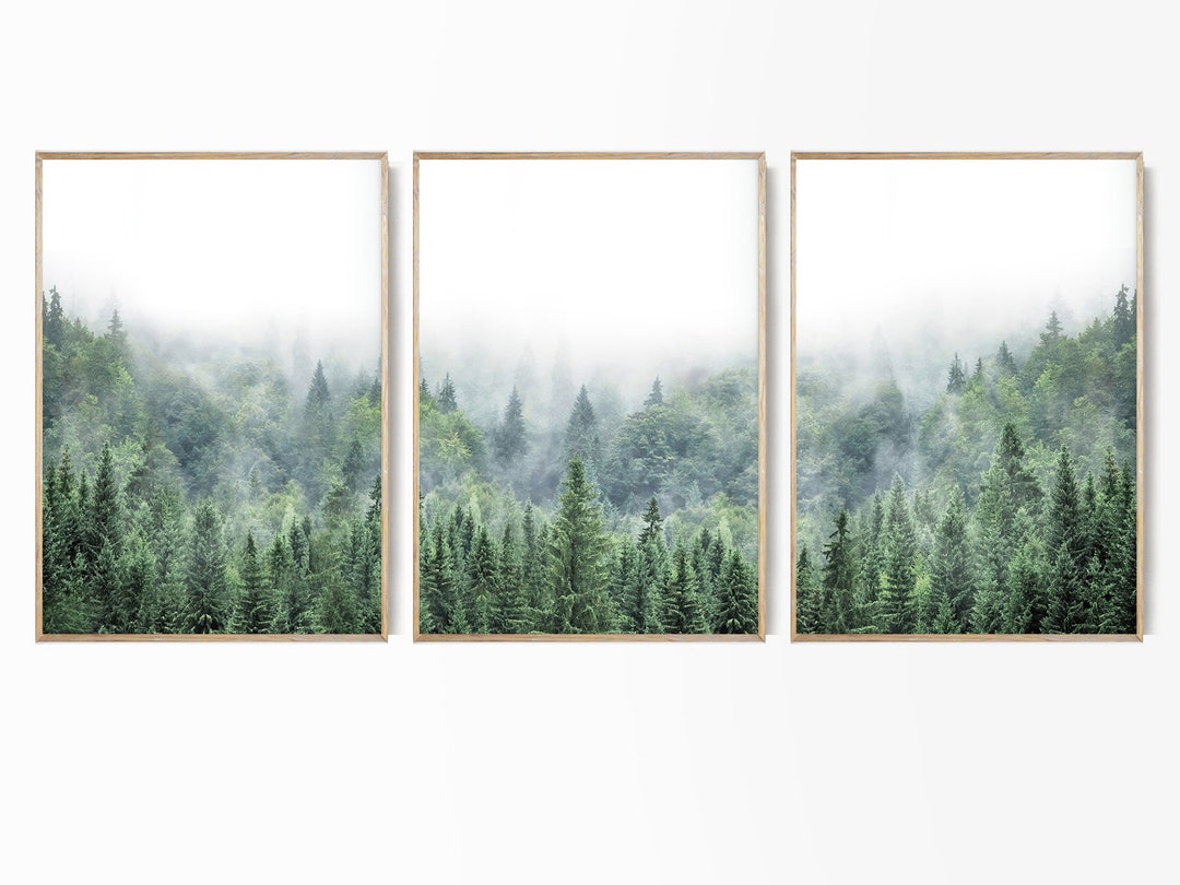 Forest Set 3 Prints Nature Photography Giclee Forest Print Scandinavian ...