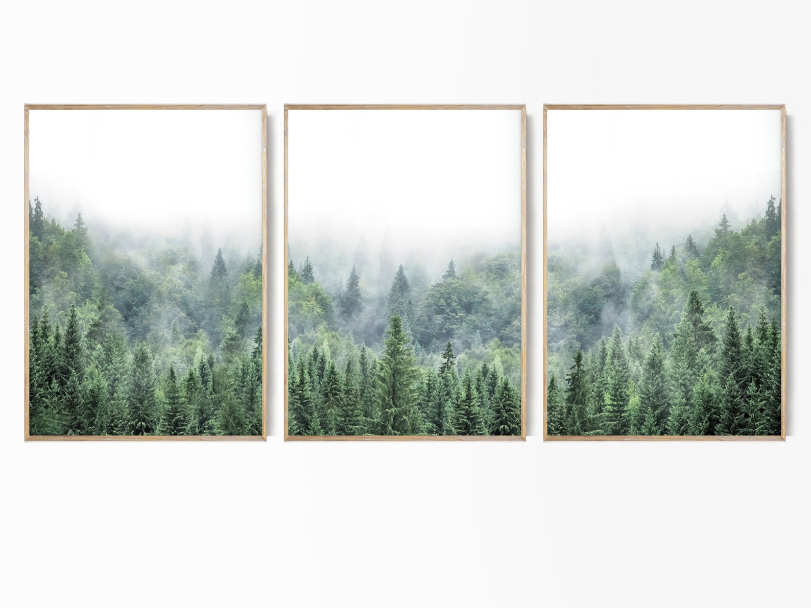 Forest Set 3 Prints Nature Photography Giclee Forest Print | Etsy