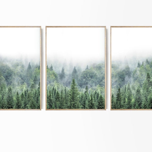 Forest Set 2 of Prints Landscape Photo Large Giclee Poster - Etsy