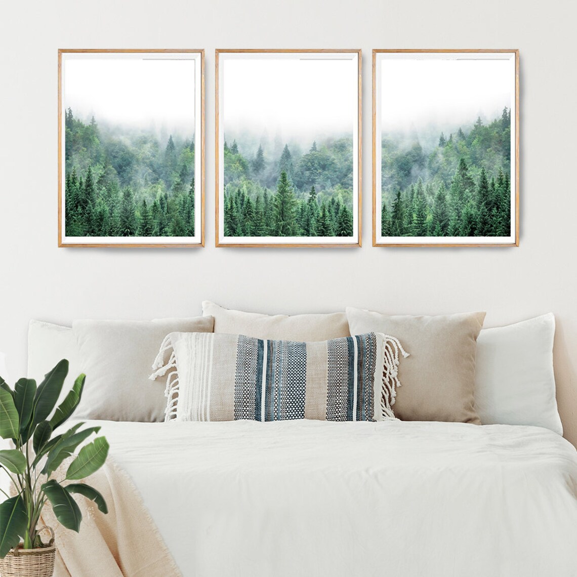 Forest Set 3 Prints Nature Photography Giclee Forest Print | Etsy