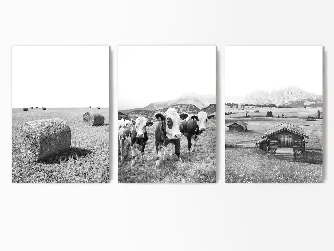 Farm Set of 3 Decor Black White Farm Canvas Set Country Wall Prints ...