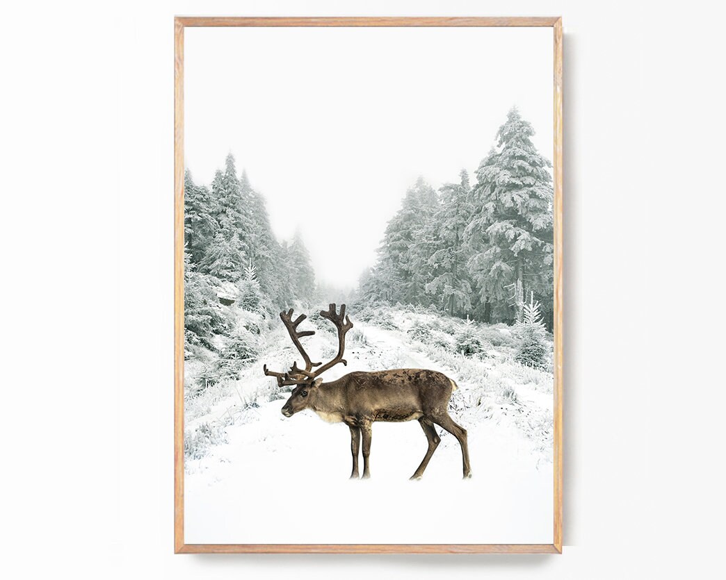 Holiday Decor Winter Set of 6 Snowy Snow Covered Forest - Etsy