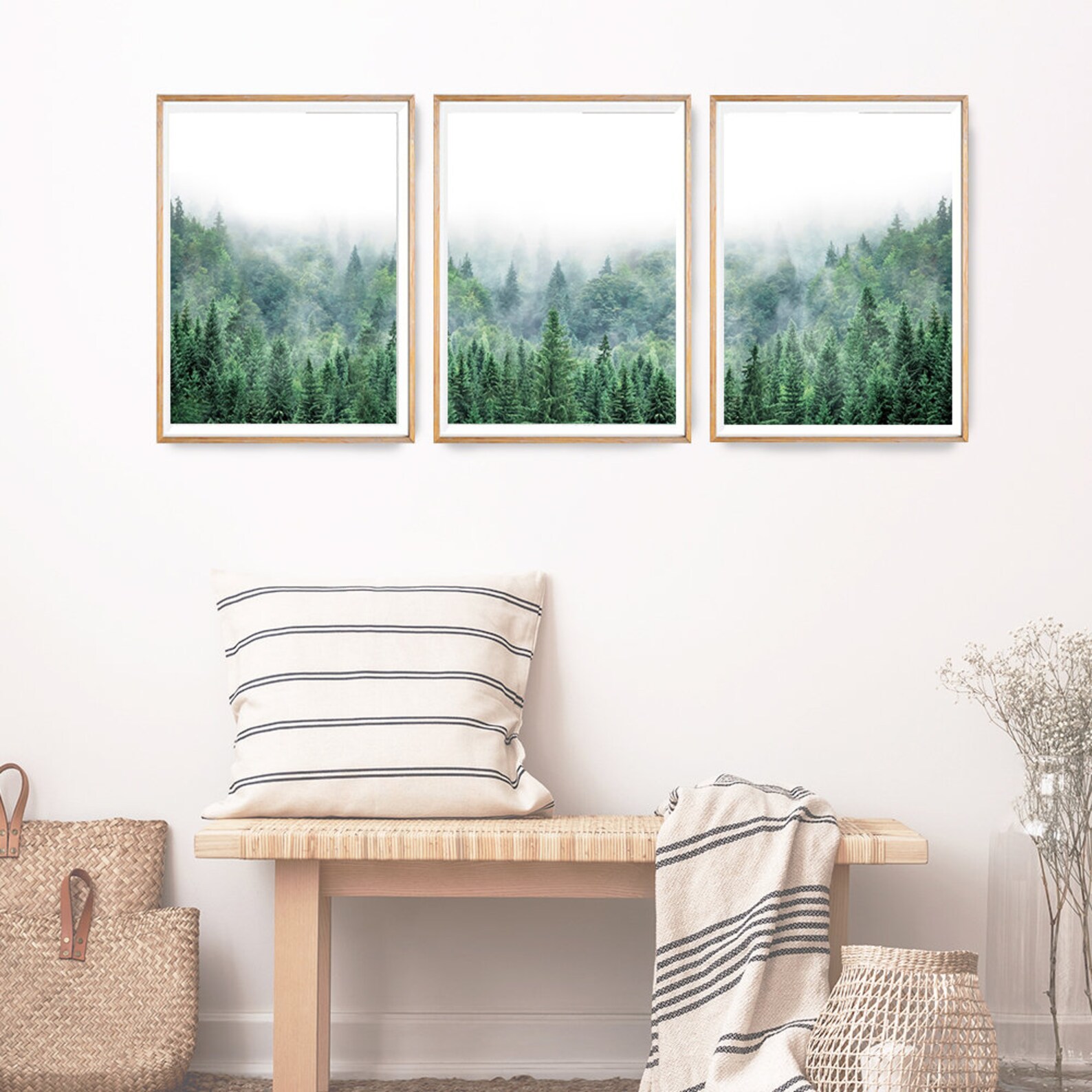 Forest Set 3 Prints Nature Photography Giclee Forest Print | Etsy