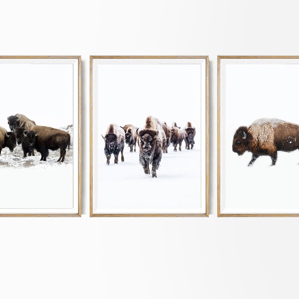 Bison Print - Etsy