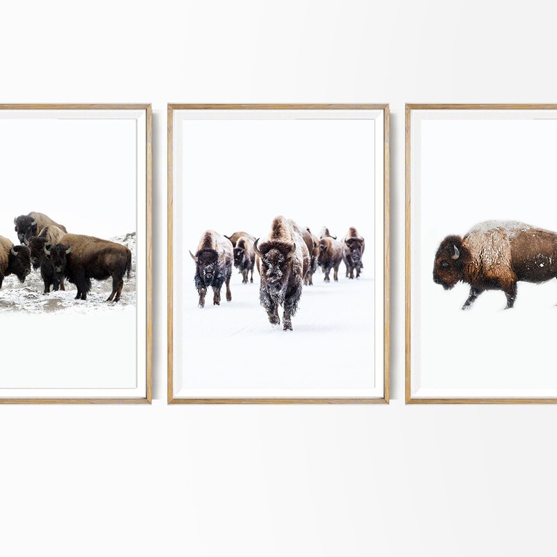 Bison Print - Etsy